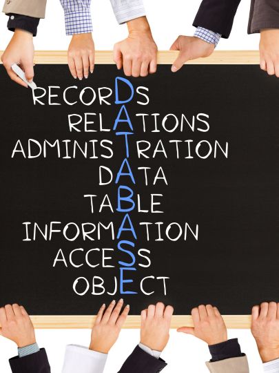 Should You Pursue Database Developer or Administrator?